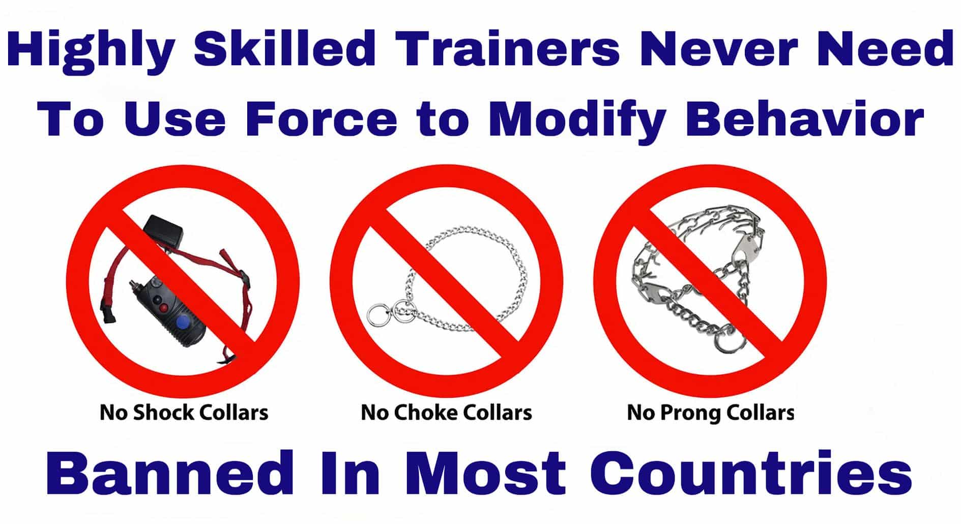 PHOENIX DOG TRAINING | Expert Dog Training in Phoenix, AZ